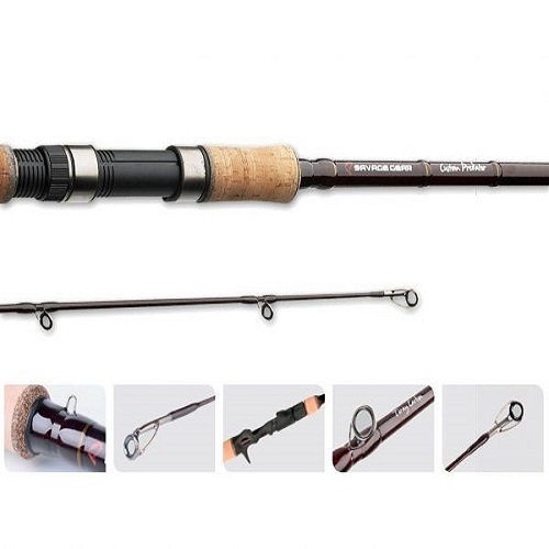 Savage Gear Custom Predator 2,58m 65gr